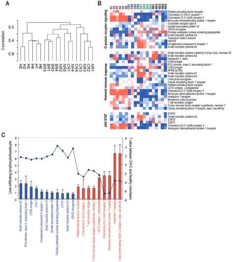 A Hierarchical Clustering Analysis Of Gene Expression Profiles Of