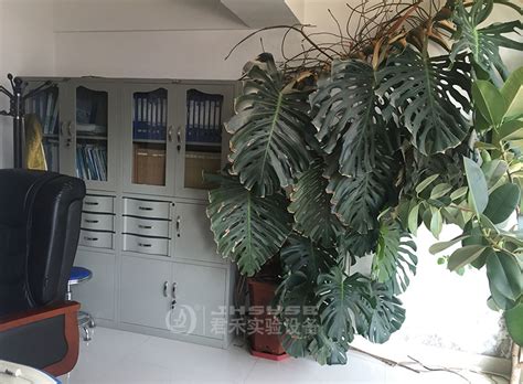 兰州实验台 甘肃兰州通风柜 兰州废气处理工程 气路工程 净化工程 废水处理工程 甘肃君禾科学仪器有限公司