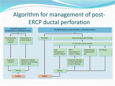 Ercp Procedure Management And Literature Review Ppt Digestive Disorders Diseases And
