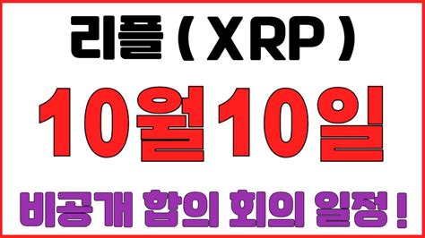 리플코인 10월10일 비공개 합의 회의 일정 불독코인프리세일코인시바이누코인리플이더리움도지코인코인단타