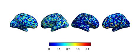 Github Sbci Brainsbcitoolkit Matlab Scripts For Visualisation And