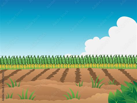 Cartoon Vector Illustration Of A Crop Field Stock Vector Adobe Stock