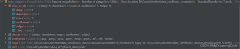 Alexnet——训练花数据集alexnet数据集 Csdn博客