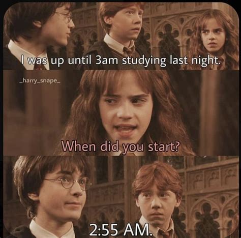 Harry Potter Memes Hermione Memes Artofit