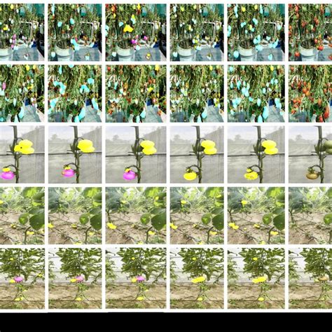 Qualitative Evaluation Of The Proposed Framework Alongside Download Scientific Diagram
