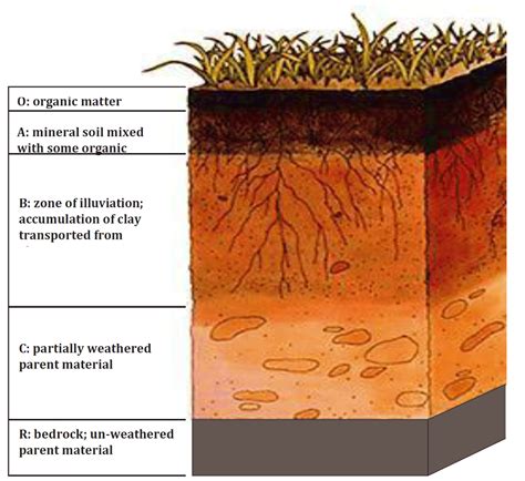 Soil Type As One Of The Major Contributing Factors For Top Ten Agri