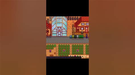 Secret Dialogue With Commands In Stardew Valley Youtube