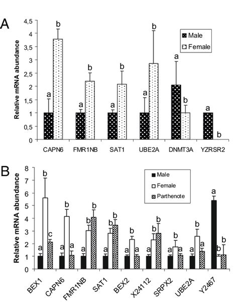 Relative Mrna Abundance A Relative Polya Mrna Abundance Of Six