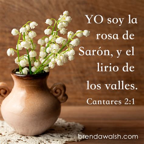 Cantares 21 Brenda Walsh Scripture Images