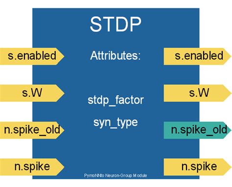 PymoNNto STDP Md At Master Trieschlab PymoNNto GitHub