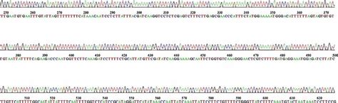 electropherogram section from lab o matk sequence download