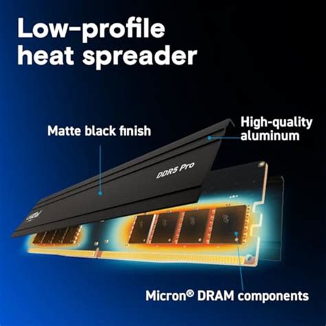Adata Xpg Spectrix D50 Rgb 8gb Ddr4 3200mhz Vs Crucial Pro 128gb