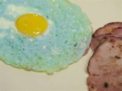 Egg Agriculture Dictionary