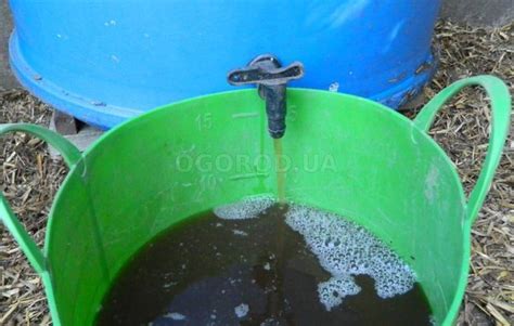 Народные удобрения для огурцов