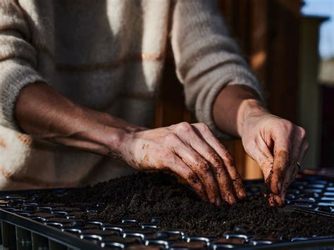 Potting Soil Has A Dirty Secret National Geographic