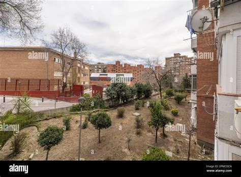 Views Of An Urban Garden Without Grass With Small Trees And Various