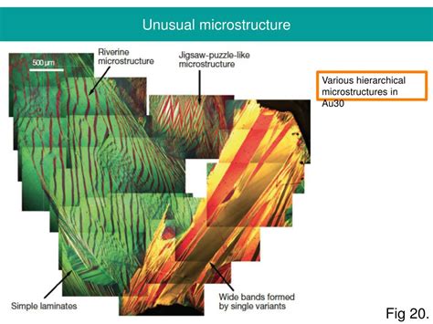 Ppt Decrease Hysteresis For Shape Memory Alloys Powerpoint