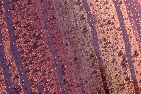 Безплатна снимка пясък роса течност текстура дъжд скреж мокър асфалт ръжда червен