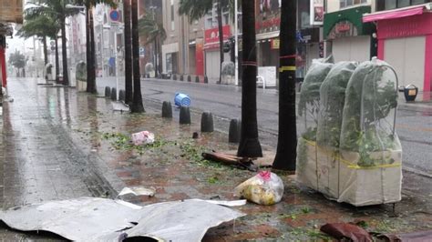 Крокодил в Коста Рике съел молодого футболиста Интересное и Полезное Дзен