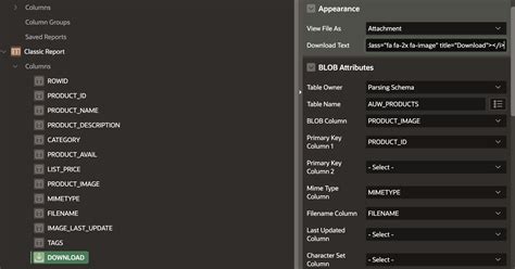 Efficiently File Download In Oracle Apex Ontoor Solutions Ontoor Blogs