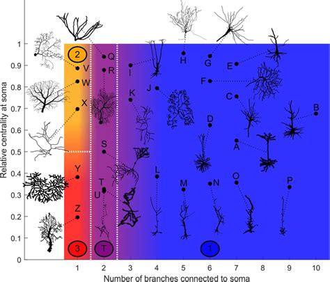 Categorization Of Neurons According To Their Relative Energy