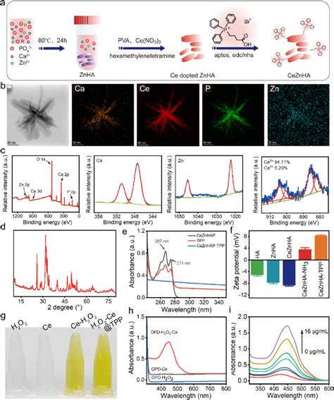 Regulating Macrophage Glucose Metabolism Homeostasis Via Mitochondrial Rheostats By Short Fiber