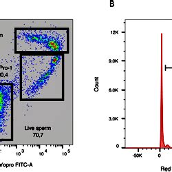Flow Cytometry Detection Of Sperm Viability And Membrane Integrity A And DNA Fragmentation