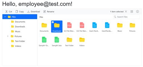 Role Based Authorization In Blazor File Manager An Overview