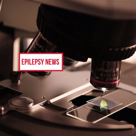 Distinct Genetic Basis Of Common Epilepsies And Structural Mri Measures Cure Epilepsy