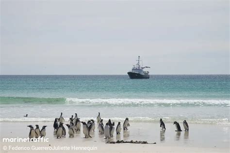 Hans Hansson Yacht Imo 8931188 Vessel Details