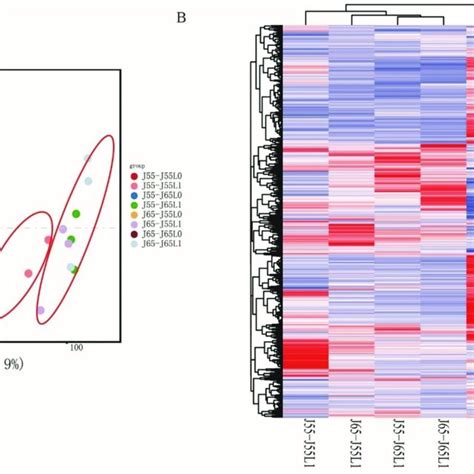 Transcriptome Differential Analysis Of Grafted Combinations A The Download Scientific