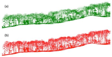 Realistic Forest Stand Reconstruction From Terrestrial Lidar For Radiative Transfer Modelling