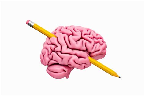 Premium Photo Brain With A Pencil Through It