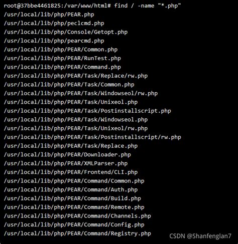 php fpm 基于fastcgi协议的rce漏洞复现 cve 2019 11043 php fpm rce csdn博客