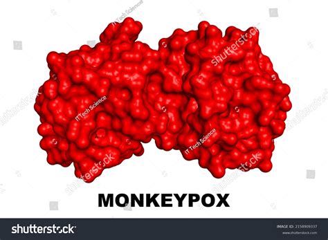 Monkeypox Virus Protein Crystal Structure Profilinlike ภาพประกอบสตอก Shutterstock