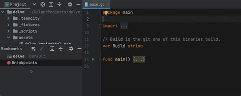 GoLand Goes Beta The GoLand Blog