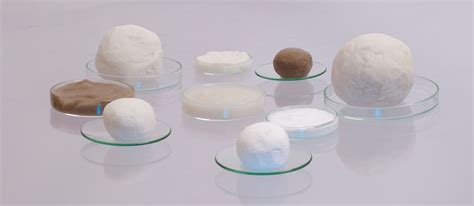 Microfibrillated Cellulose Kadant Fiber Processing