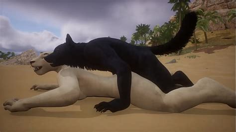 Wolf Has Sex With Lioness Wildlife Xxx Mobile Porno Videos And Movies