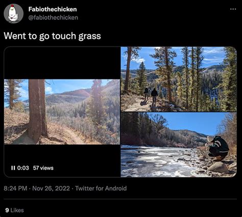 Touch Grass What Does Touch Grass Mean