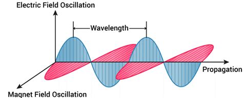 Electromagnetic Field Sources Continuous And Discrete Structure