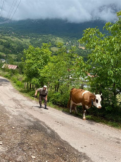 Değişmeyen Tek Gerçek Resimler Essen