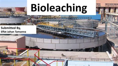 Bioleaching Pptx