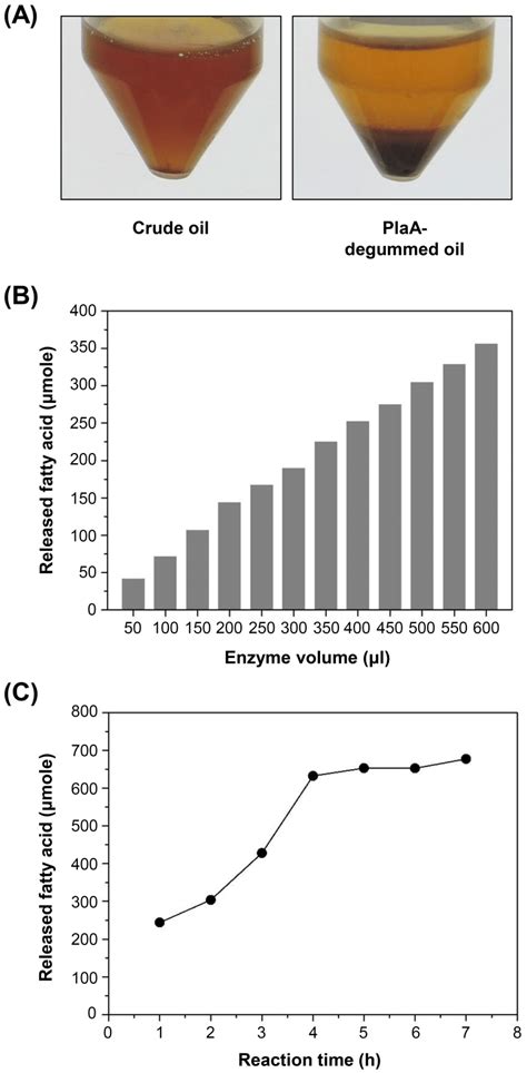 Lecithin Hydrolysis At Ben Gruner Blog