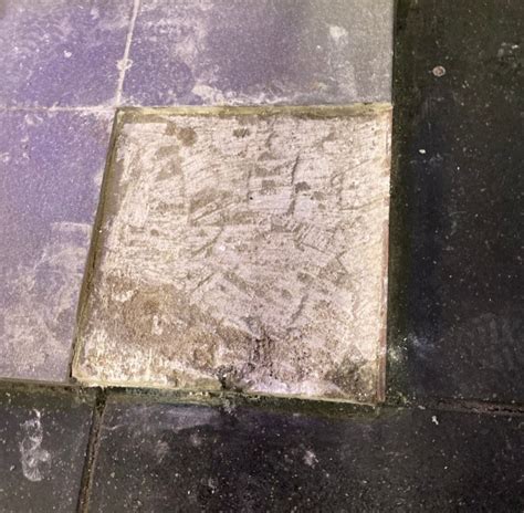 사무실 욕실 바닥타일깨짐 교체 들뜸 파손된 타일 수리 작업 현장 서울특별시 마포구 연남동 주택수리종합 당근 비즈 소식