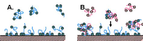 Concept Of A Two Step Treatment Starting With An Excess Of Cationic Download Scientific