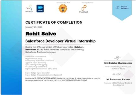 Rohit Salve On Linkedin Smartinternz Salesforce Salesforcedeveloper