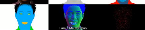 metahuman simulation sample dataset kaggle