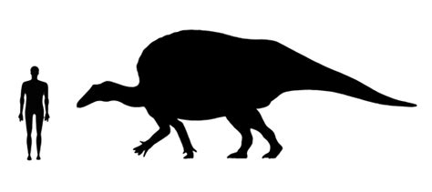 Science Uk Dinosaurs Iguanodon