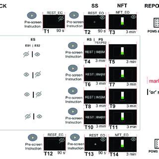 Experiment Block Mockup Time Flows From Left To Right Top To Bottom Download Scientific