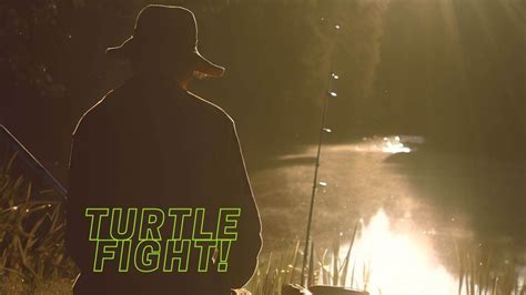 Turtle Fight Youtube